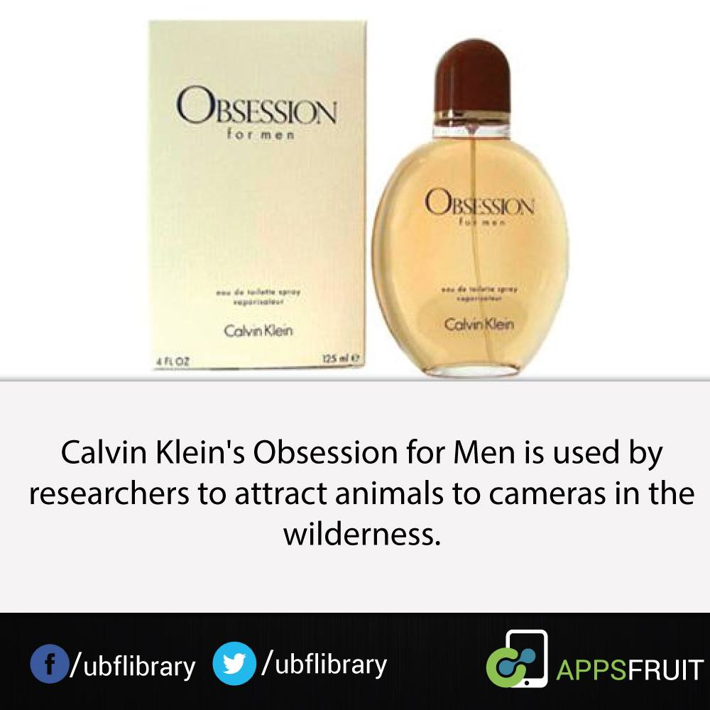 Obsession for Men – Tutorial Slides